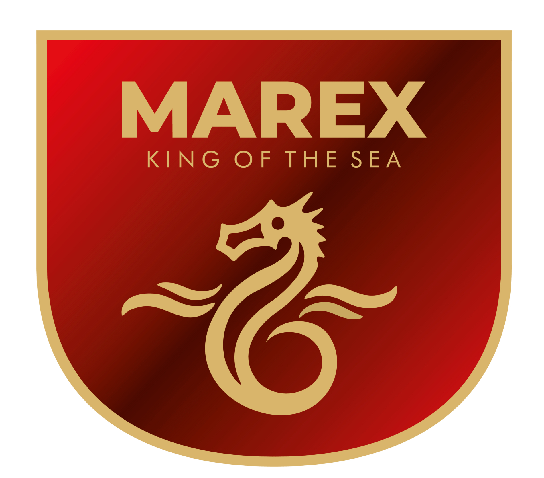 Available Yachts | Boarnstream Yachting